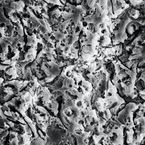 Porcelain Etch - Optident - Specialist Dental Products And Courses