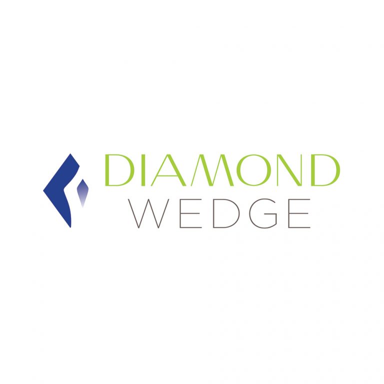 Diamond Wedge Assorted Kit - Optident - Specialist Dental Products And ...
